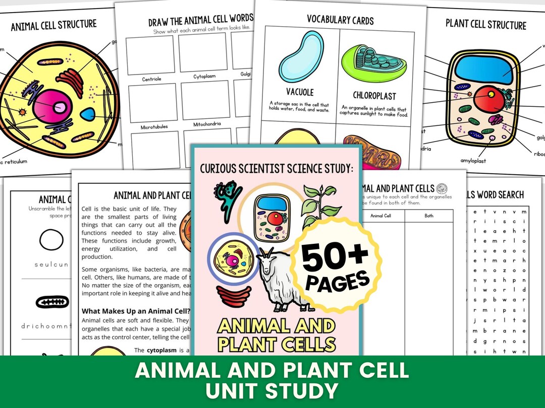 Animal and Plant Cell Unit Study Printable, Cells Worksheets for Kids ...