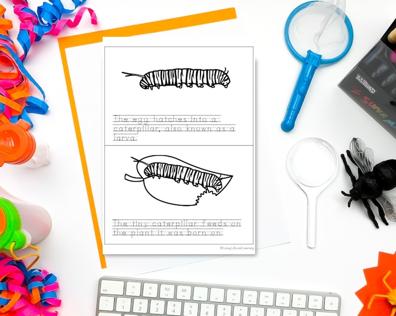 Butterfly Life Cycle Booklet Printable, Life Cycle of a Butterfly ...