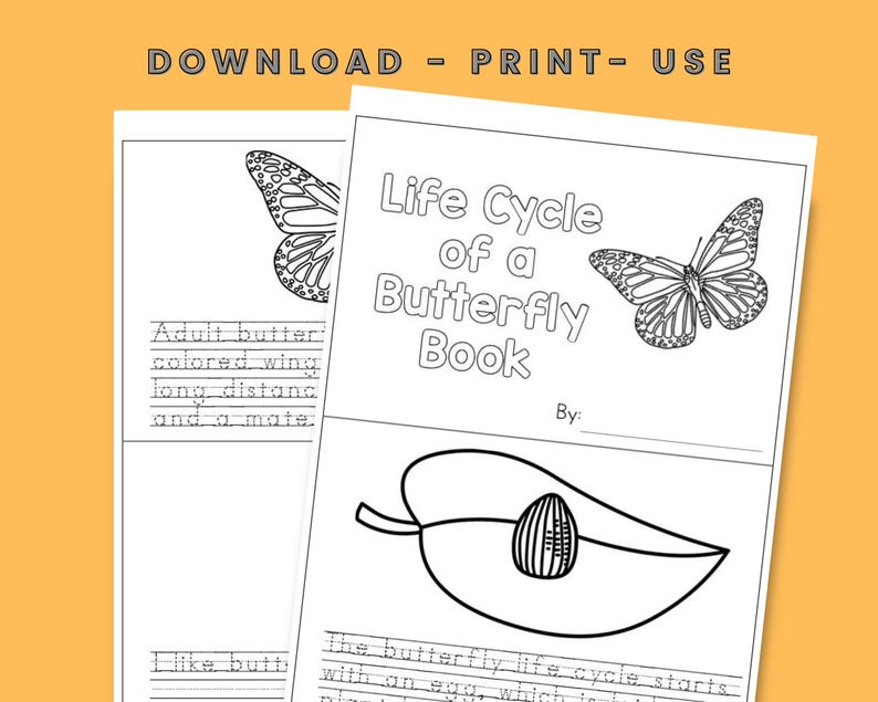 Butterfly Life Cycle Booklet Printable, Life Cycle of a Butterfly ...