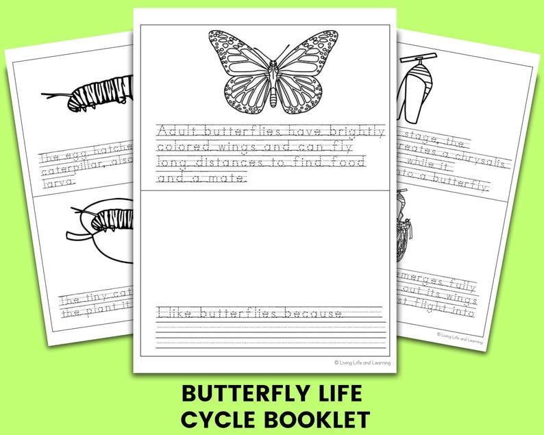 Butterfly Life Cycle Booklet Printable, Life Cycle of a Butterfly ...