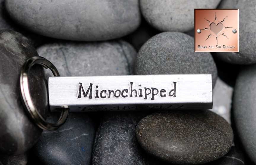 Dog ID Tag Personalized Pet Tag Pet Gift Dog Tag | Etsy