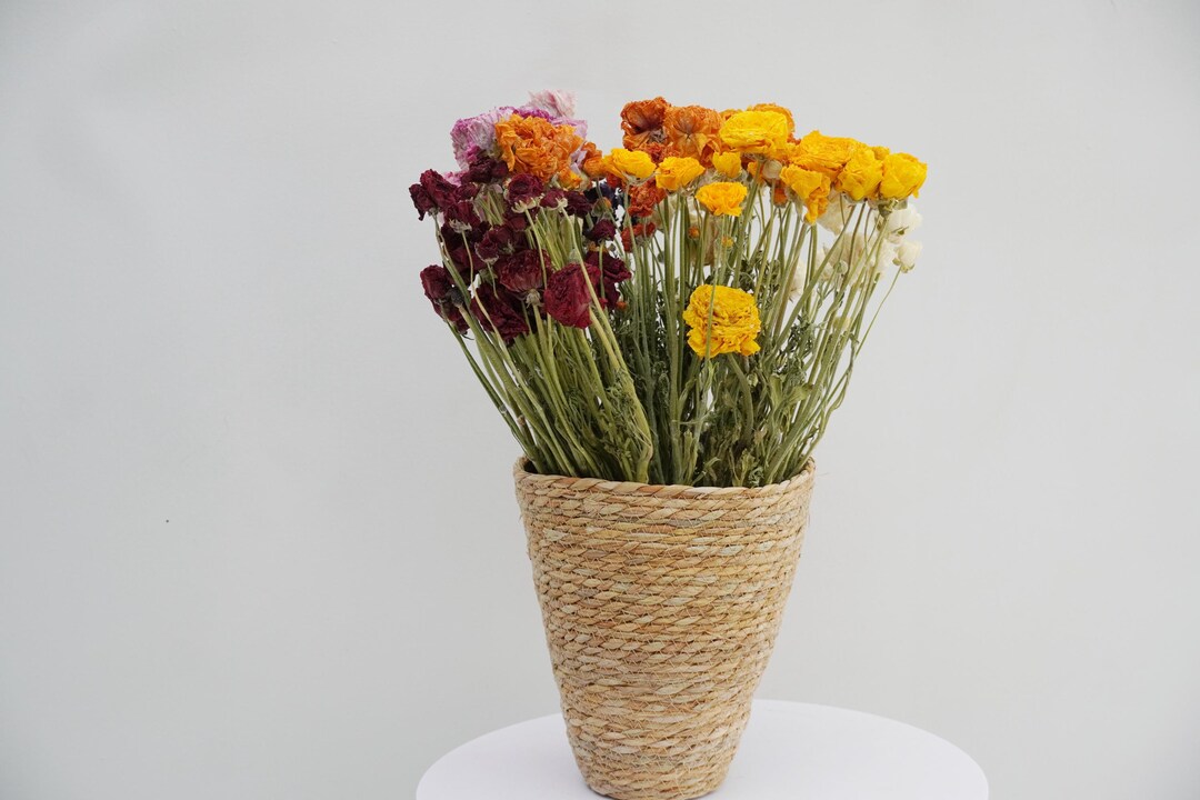 Dried Flowers, Peony Bouquets, Six Colors, Home Decorations, Holiday ...