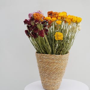 Dried Flowers, Peony Bouquets, Six Colors, Home Decorations, Holiday ...