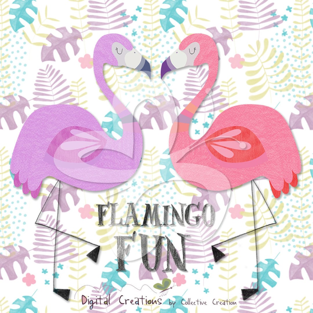 Flamingo Fun Digital Clipart Clip Art Set Commercial and Personal Use ...