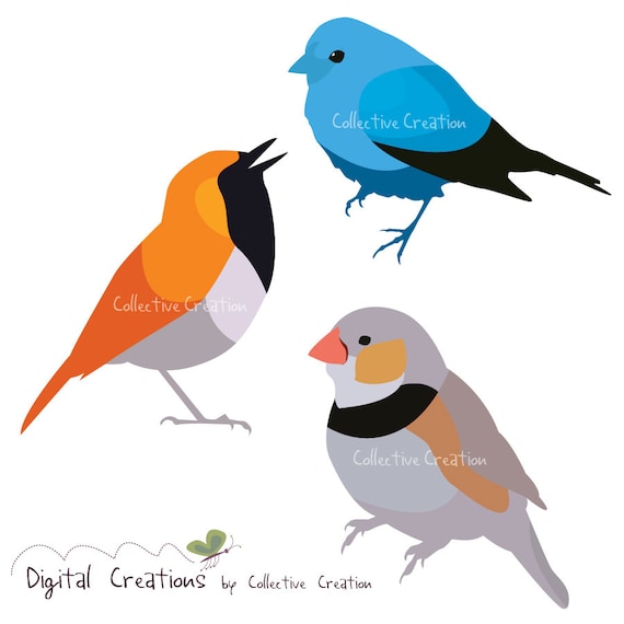 Simple Bird Shapes Digital Clip Art Set Personal and - Etsy Canada