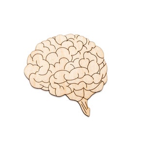 Brain-detail Wood Cutout-anatomical Wood Shapes-anatomy Parts-various ...