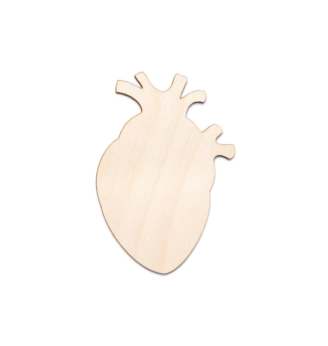 Anatomical Heart-blank Wood Cutout-realistic Heart Shape-wood Heart ...