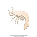 Shrimp-detail Wood Cutout-ocean Crustaceans Wood Decor-ocean Creatures ...
