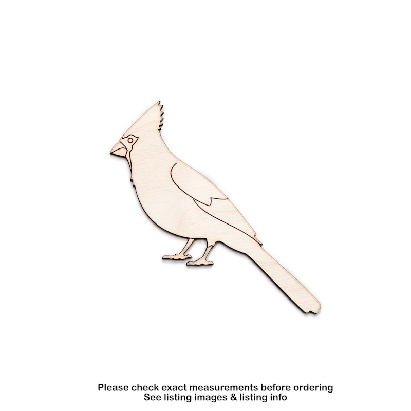 Bird Cutouts - Etsy