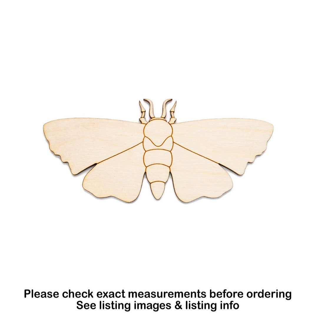 Moth Detail Wood Cutout Bugs and Insects -custom Insects Decor-various ...