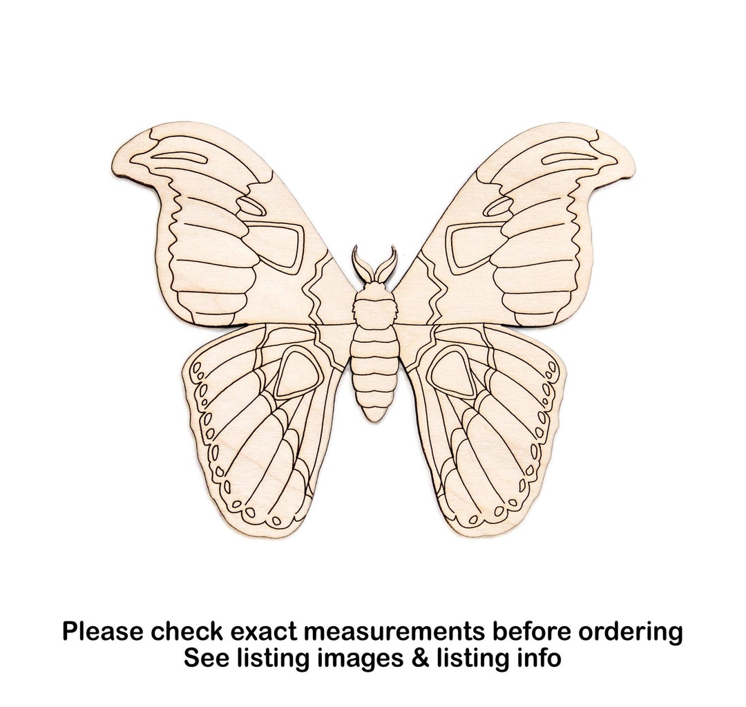 Atlas Moth Detail Wood Cutout-moths and Butterflies Decor-various Sizes ...