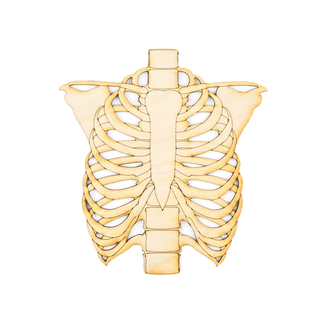 Ribcage-detailed-wood Cutout-anatomical Decor-various Sizes-diy Crafts ...