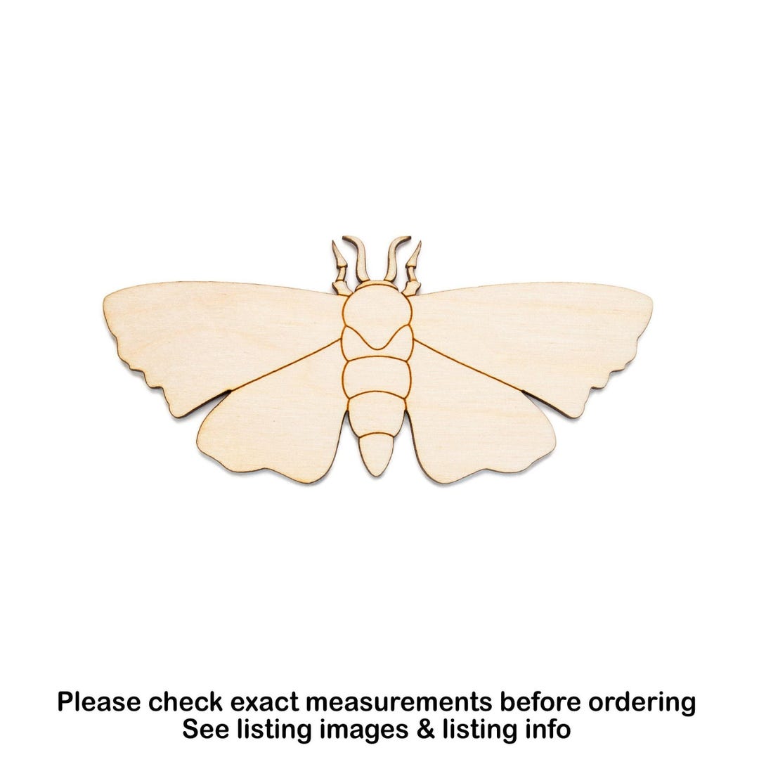 Moth Detail Wood Cutout Bugs and Insects -custom Insects Decor-various ...