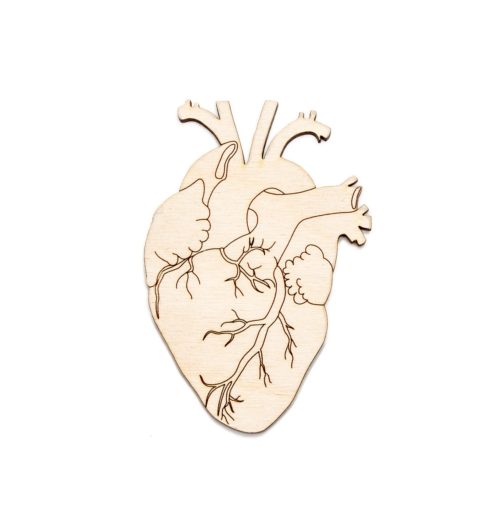 Anatomical Heart-wood Cutout-heart Decor-choose A Size-diy - Etsy