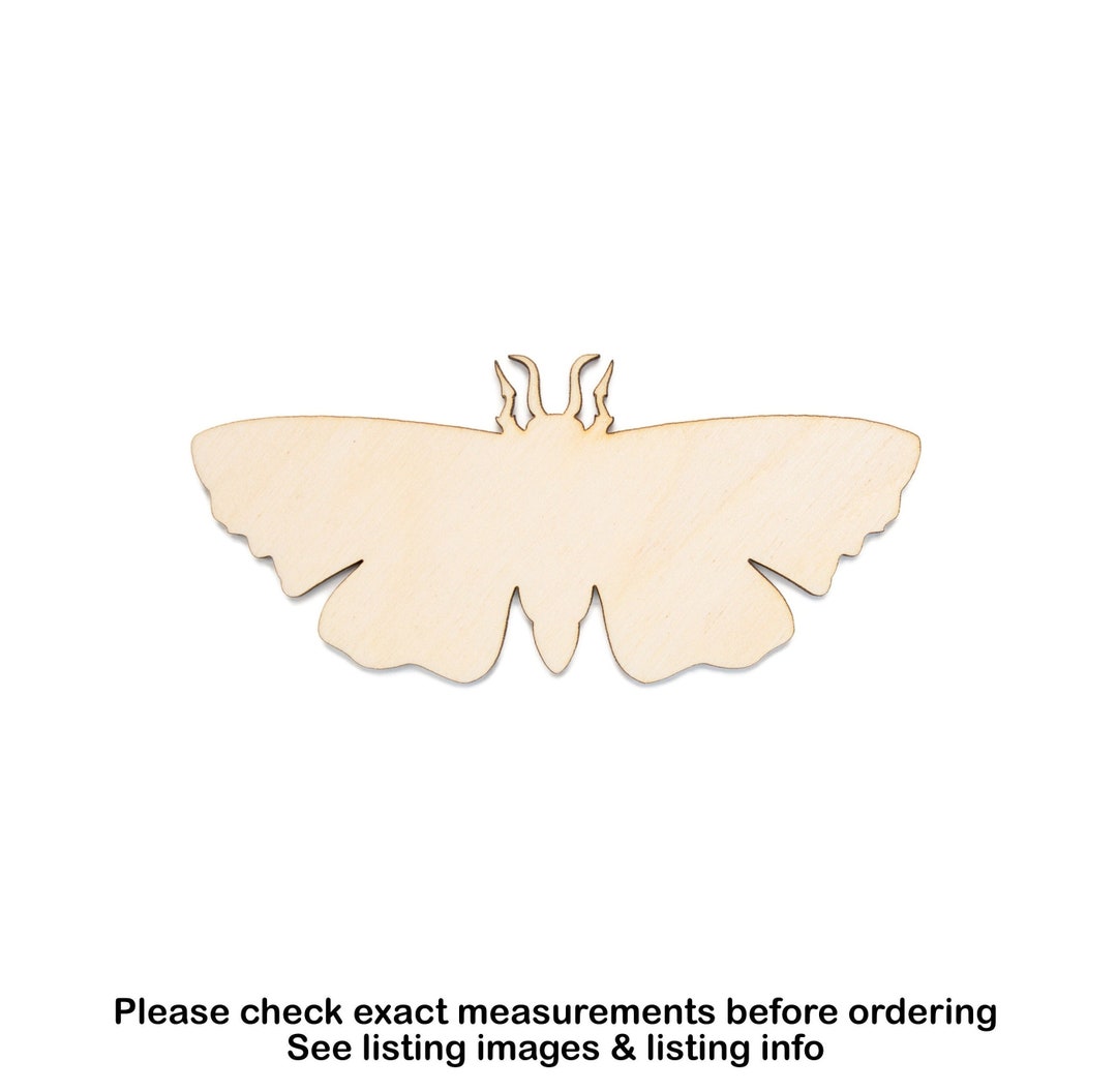 Moth Blank Wood Cutout Bugs and Insects Blanks-insects Decor-various ...