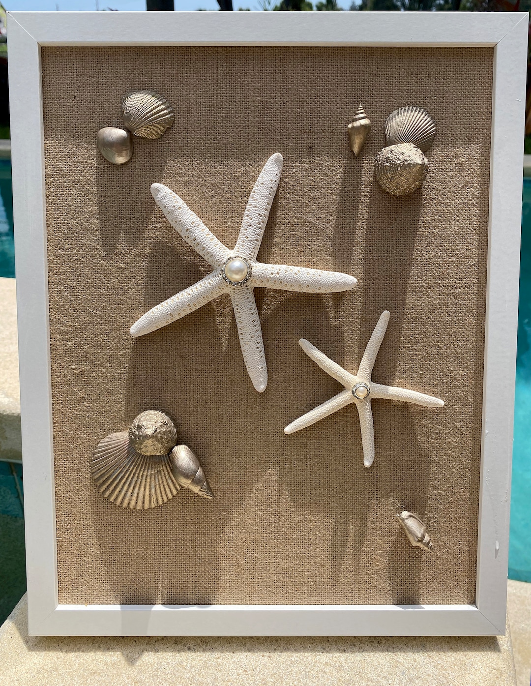 Seashell Wall Art for Coastal Home Decor - Etsy