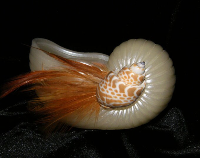 Seashell Candle Flameless LED That Flickers Like a Burning Candle Real ...