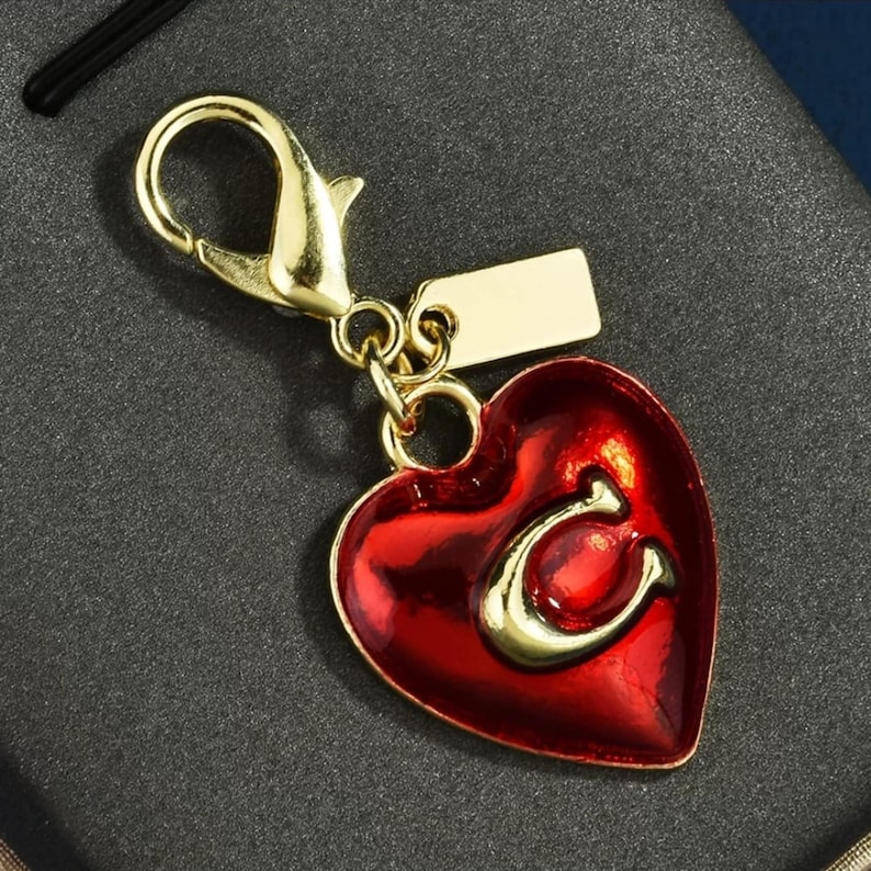 Coach Luxury Designer Style Bag Charm Keychain With Metal Tag | Heart ...