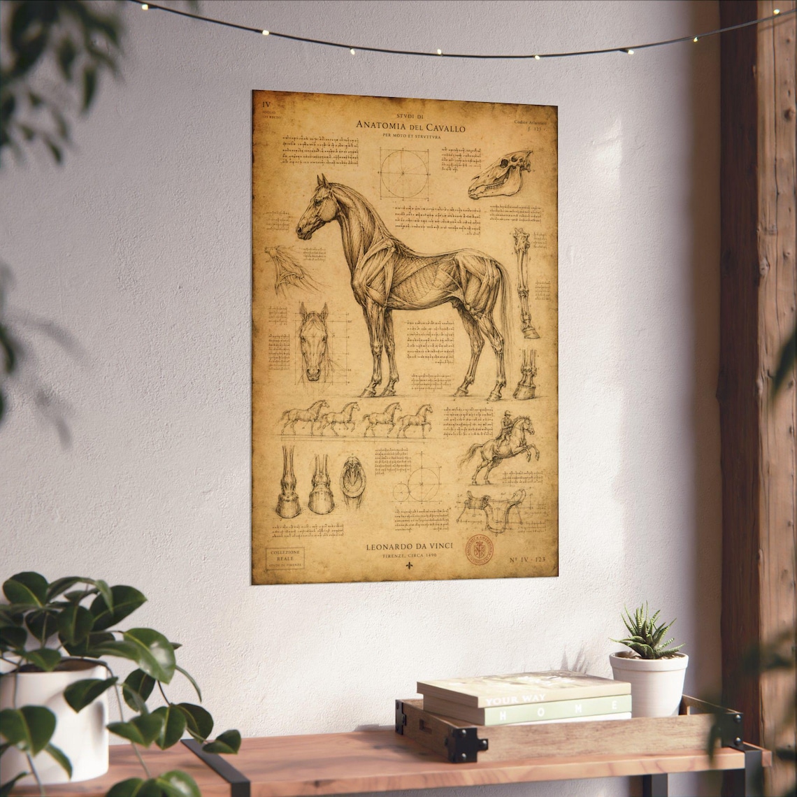 Pôster de anatomia equina de Leonardo da Vinci | Pôster vintage de ...
