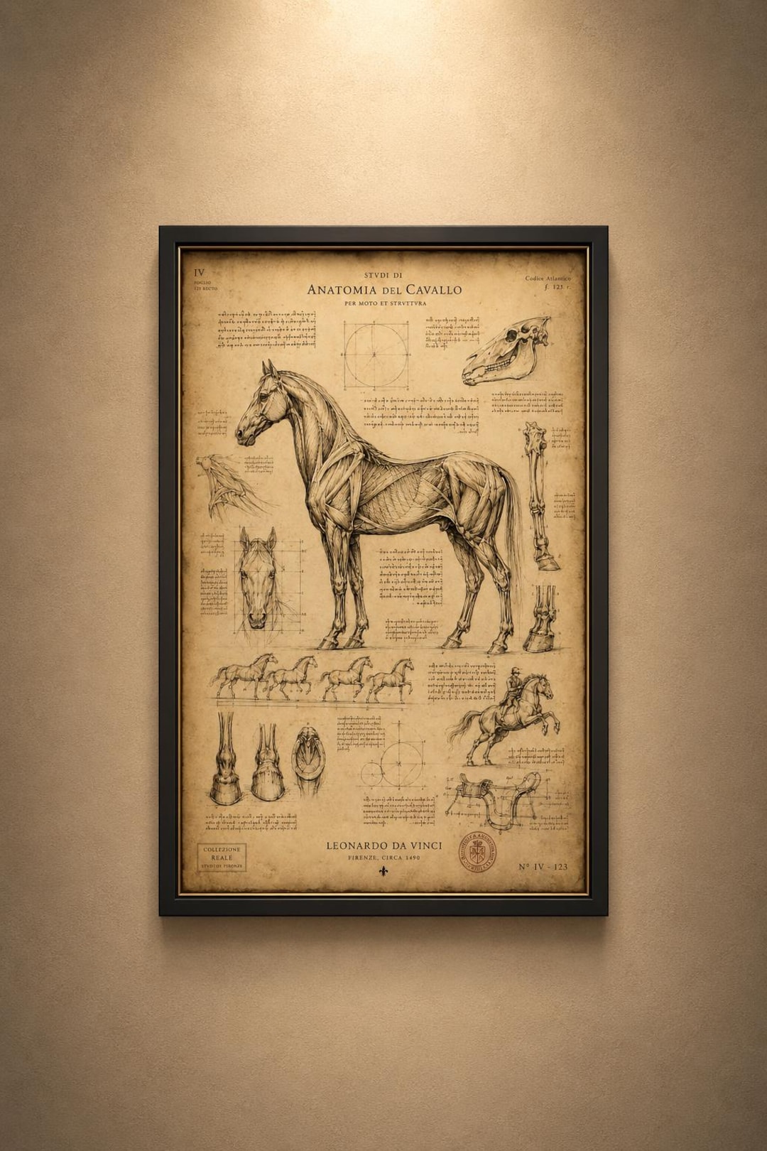 Pôster de anatomia equina de Leonardo da Vinci | Pôster vintage de ...