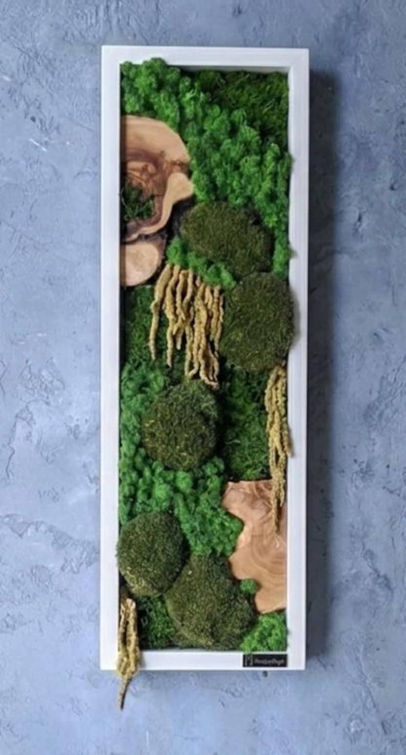 Preserved Moss Wall Art - Etsy