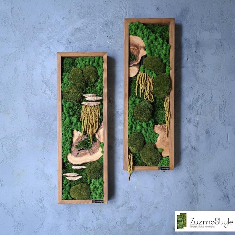 Preserved Moss Wall Art - Etsy