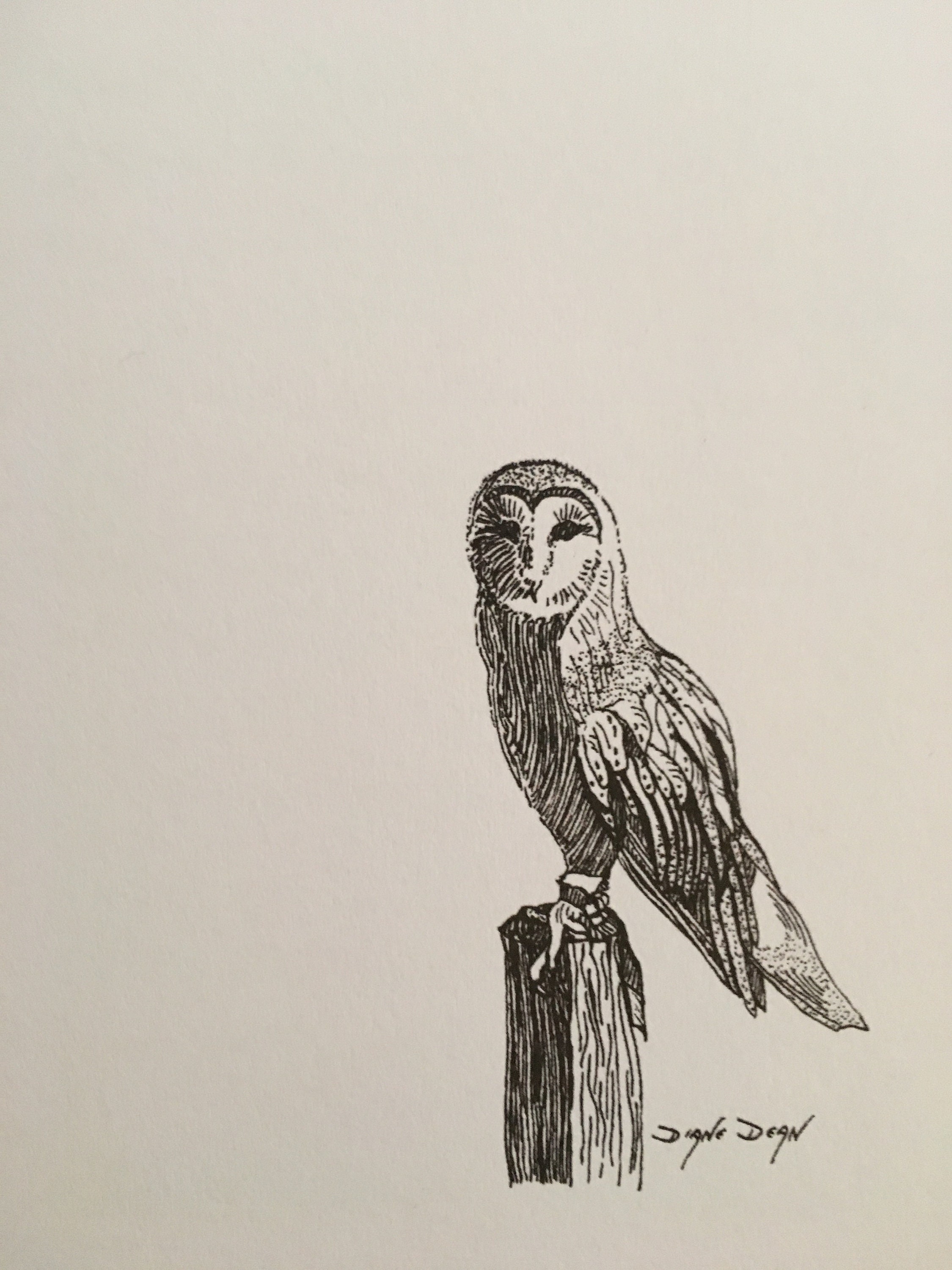 Greeting Cards of Ink Owl Illustration - Etsy