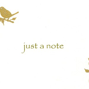 6 Pack Note Cards, Just a Note Cards, Folded Card Set, Greeting Card ...