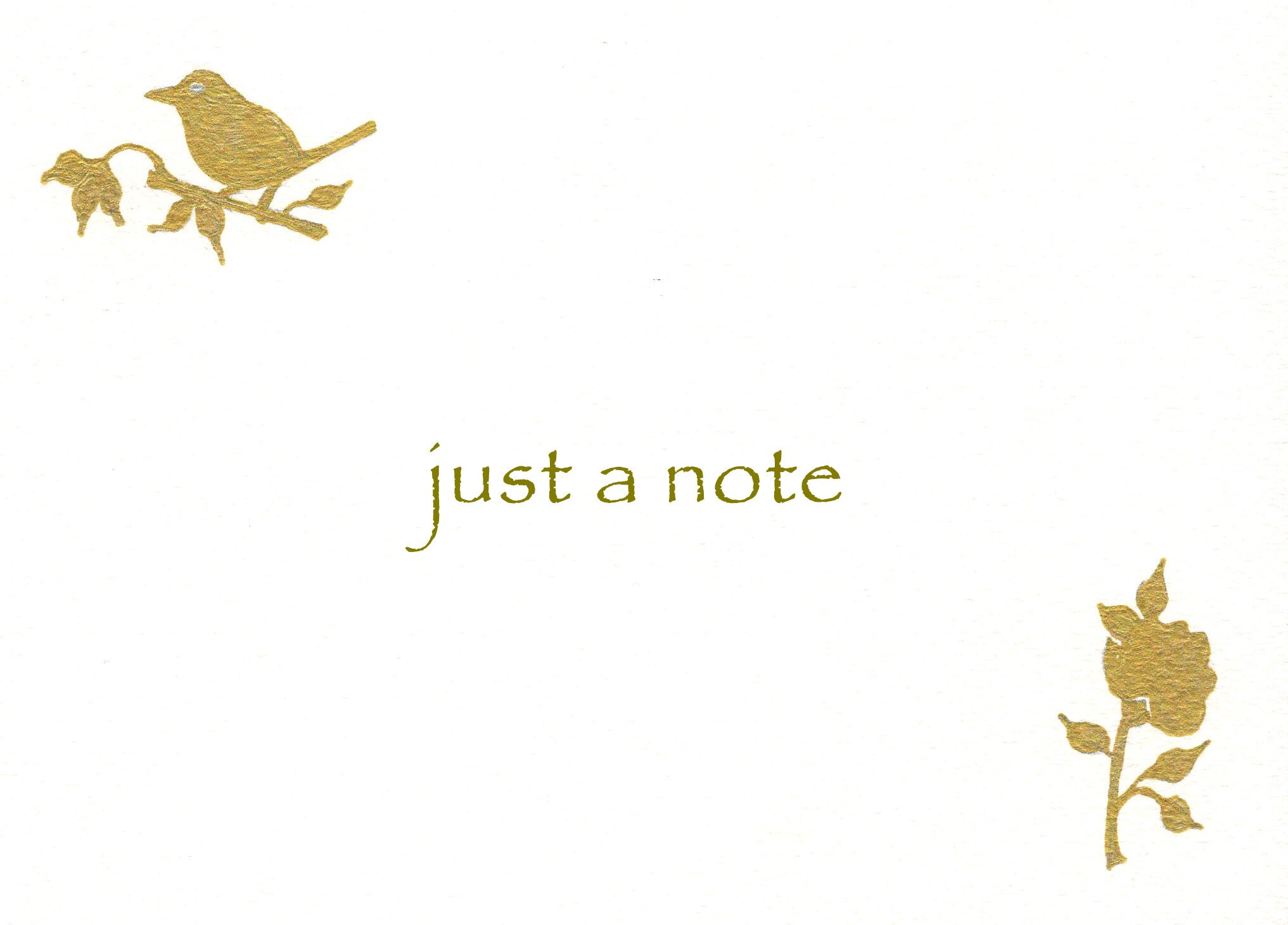 6 Pack Note Cards, Just a Note Cards, Folded Card Set, Greeting Card ...