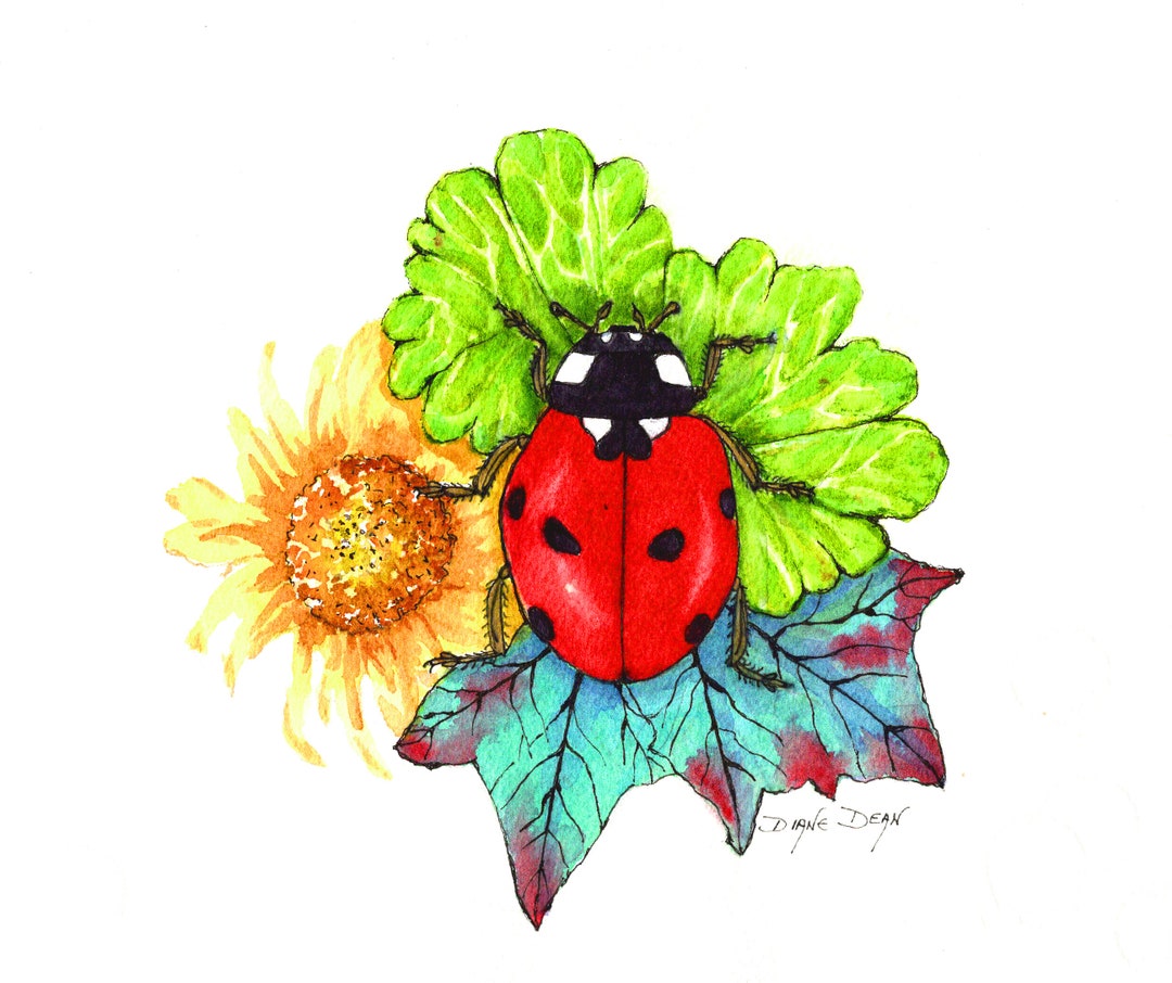 Beautiful Ladybug Collage, Watercolor and Ink Art Print, Beetle Art ...