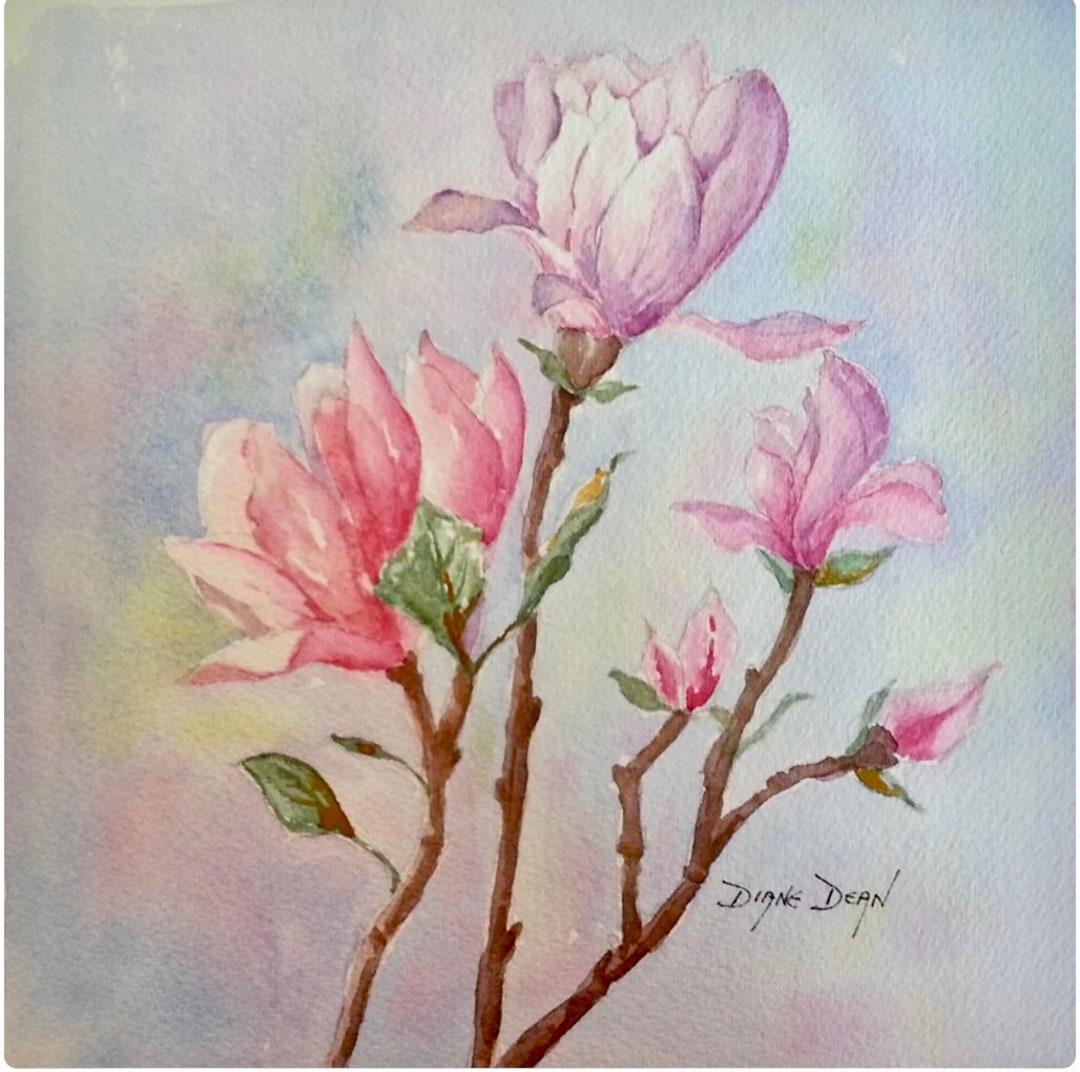 Original Watercolor Painting of Magnolia Blossoms. - Etsy
