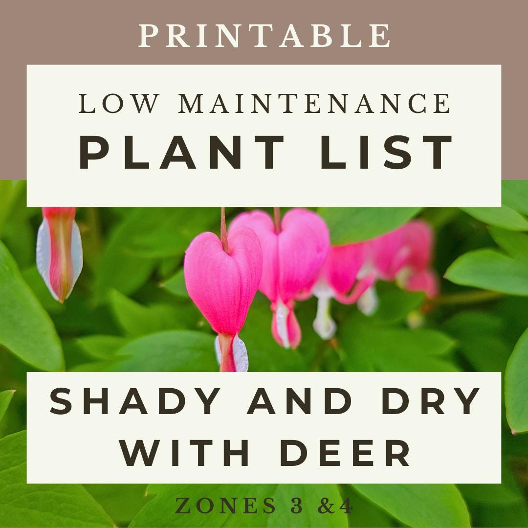 Printable Plant List for Shady, Dry Areas With Deer in Zones 3&4 (PDF ...