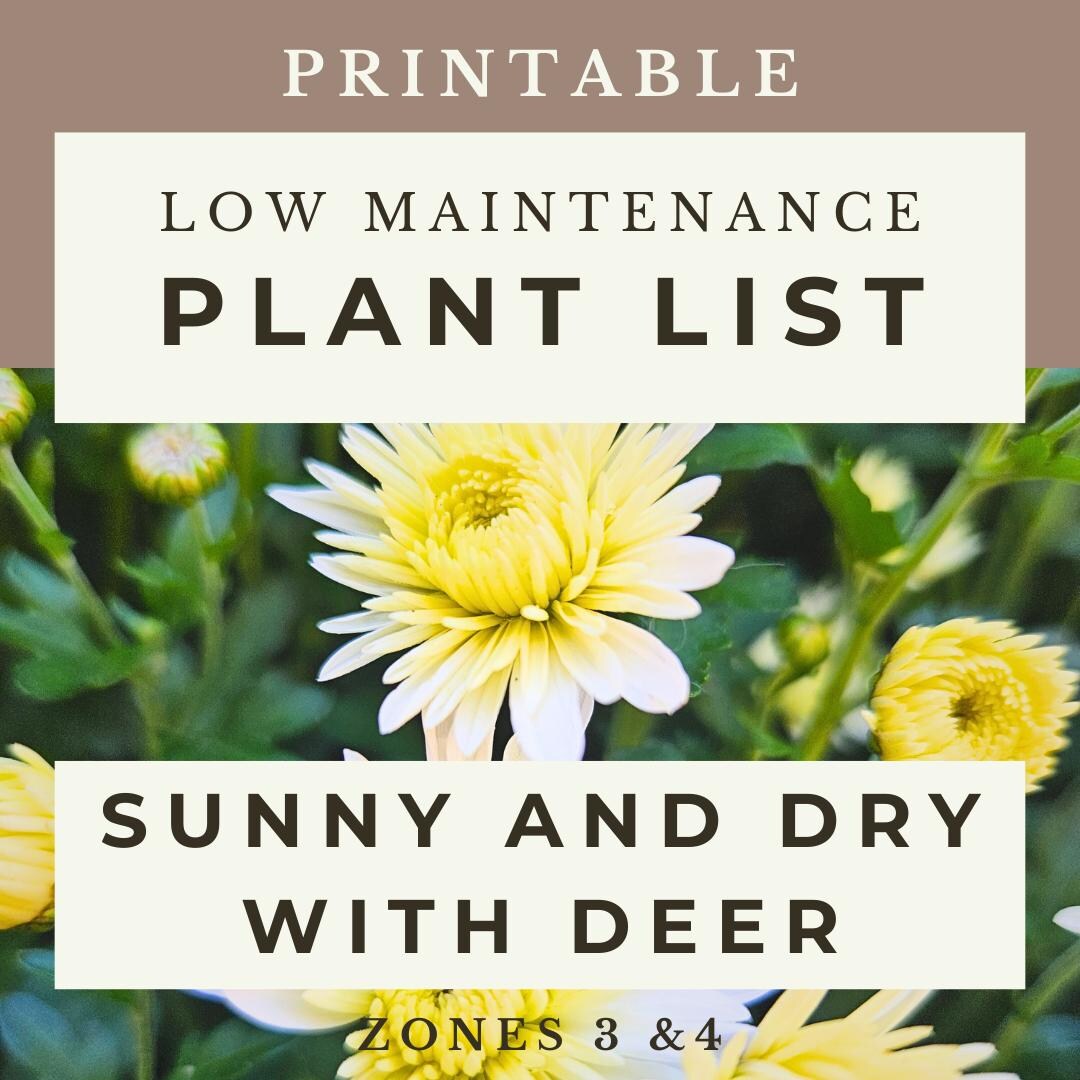 Printable Plant List for Sunny, Dry Areas With Deer in Zones 3&4 (PDF ...