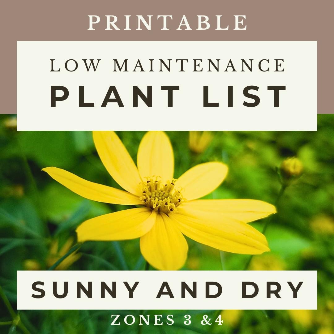 Printable Plant List for Sunny, Dry Areas in Zones 3&4 (PDF Download ...