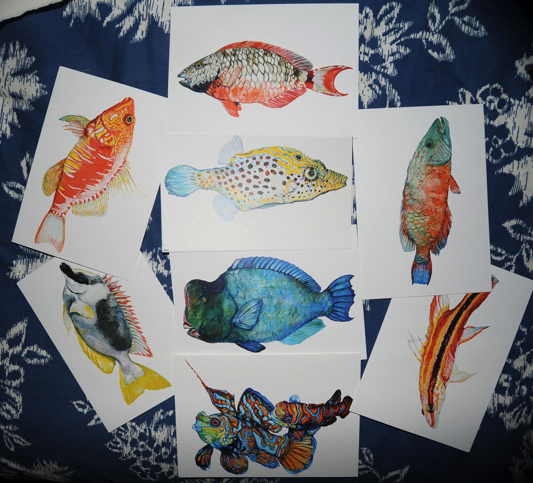 Reef Fish Notecards- Series 8 - Etsy