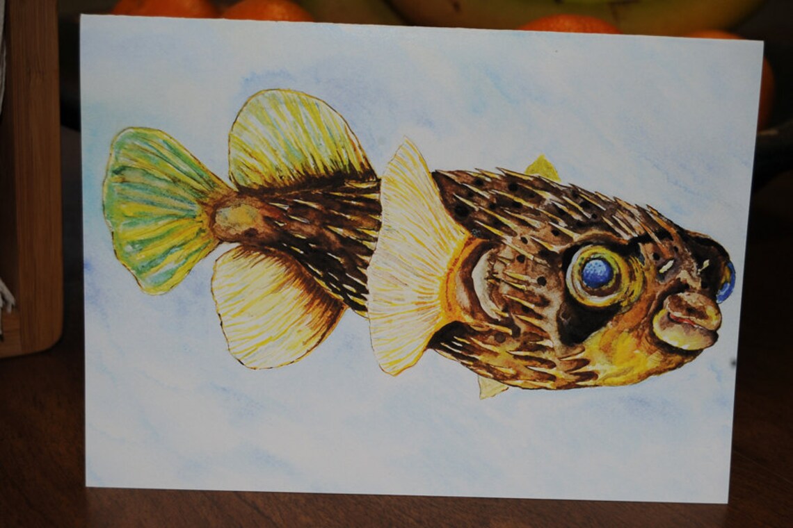 Reef Life Note Cards - Etsy