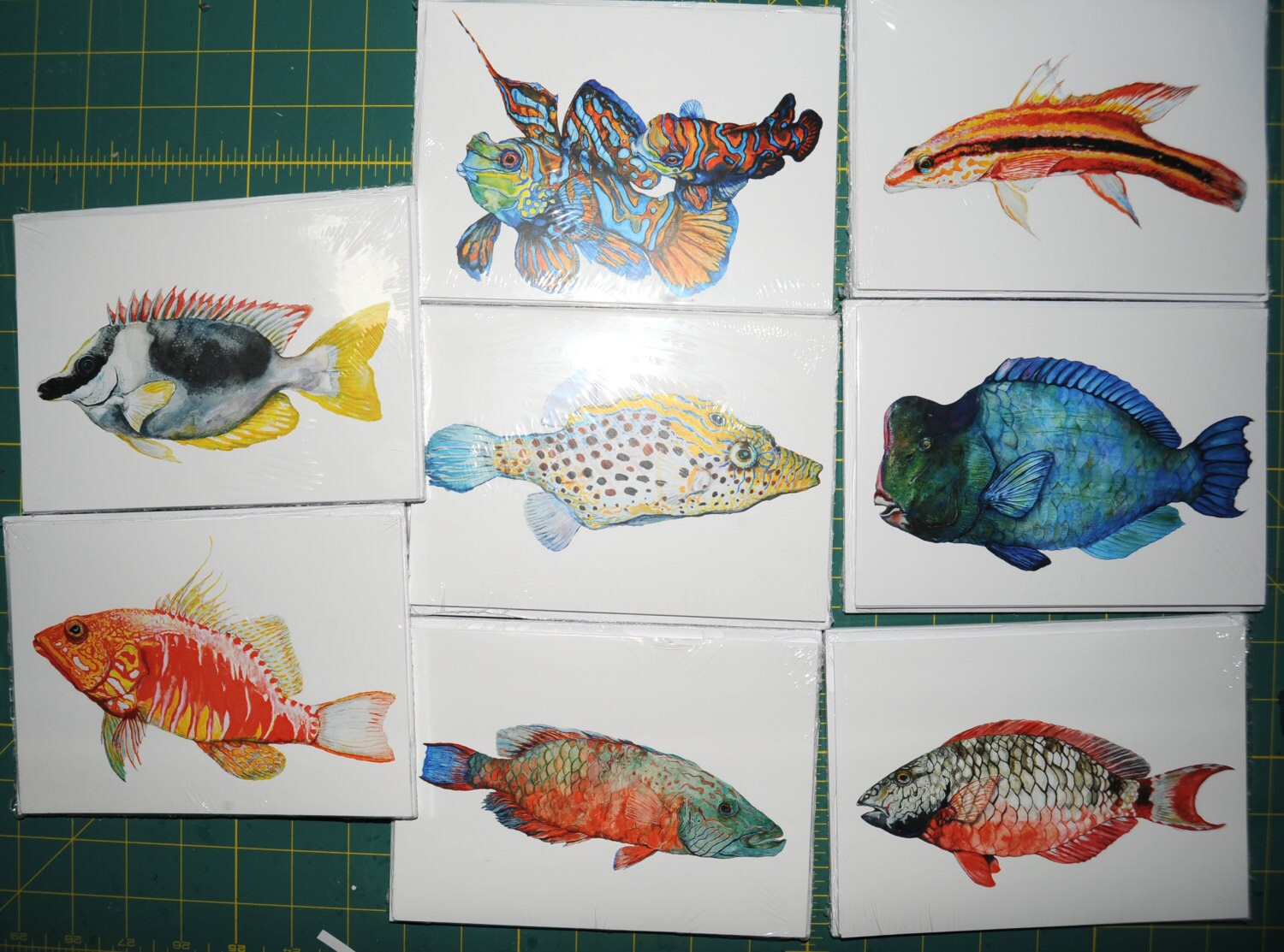 Reef Fish Notecards Series 8 - Etsy