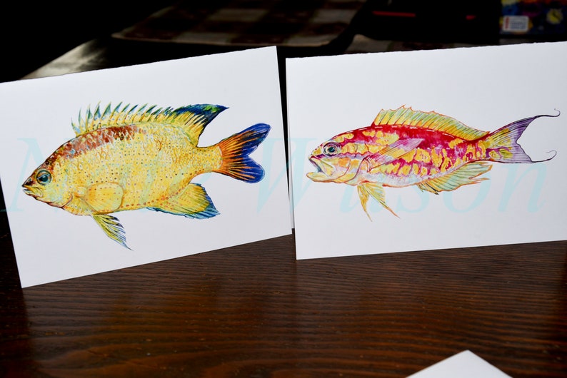 Reef Fish Notecards Mixed Species - Etsy