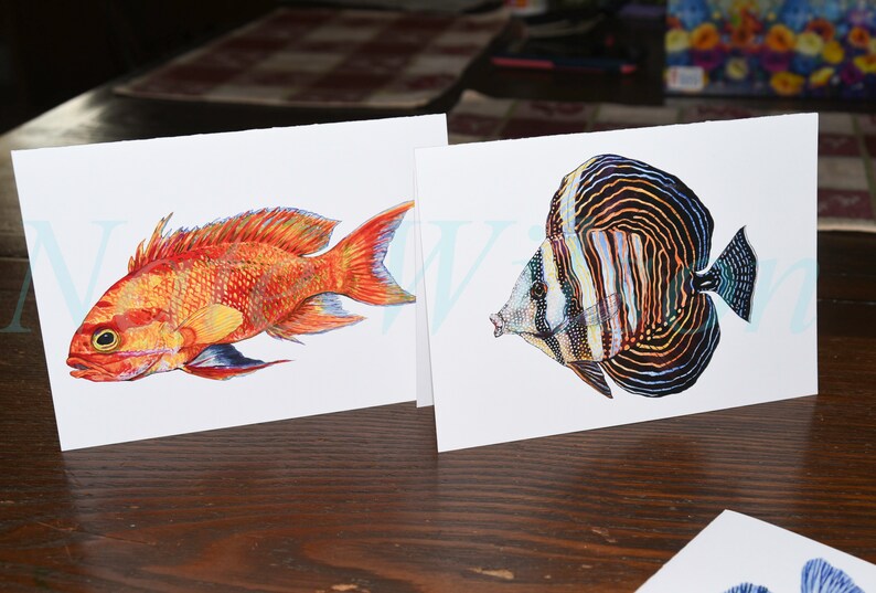 Reef Fish Notecards Mixed Species - Etsy