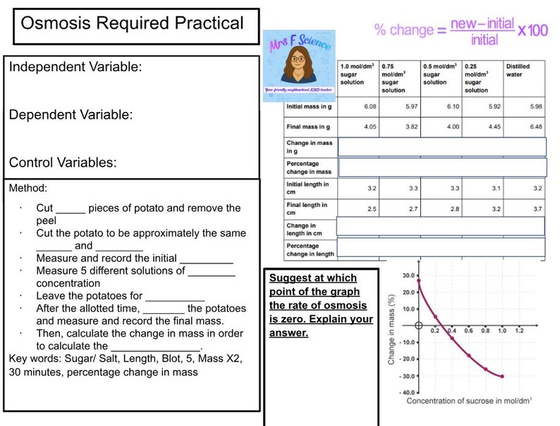 GCSE OSMOSIS Required Practical Worksheet With Answers - Etsy