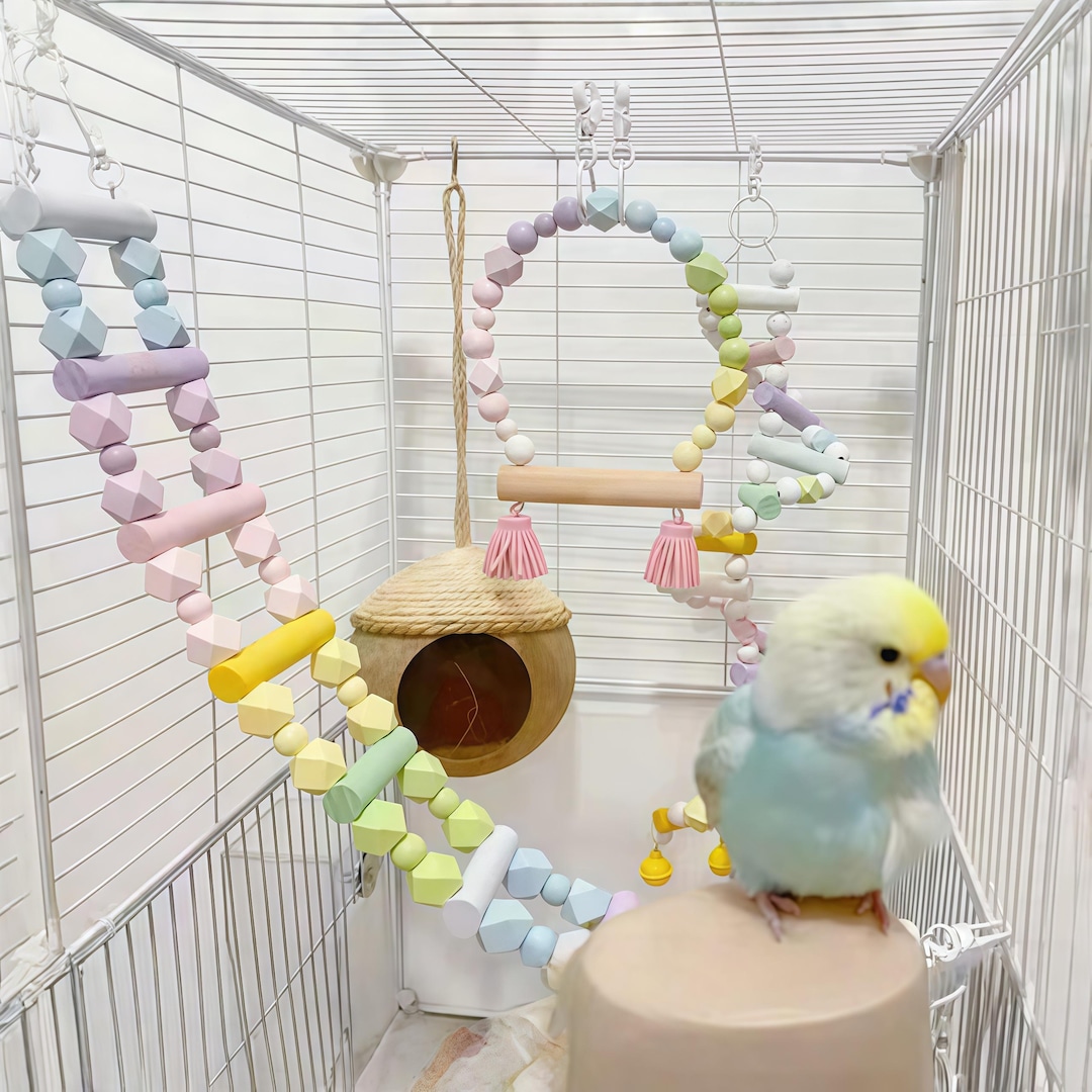 Handmade Bird Toy,macaron Color Parrot Swing Perch Set | Pastel Wooden ...