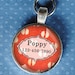 Pet Id Tag Bright Coral and White Patterned Colorful Round Dog Tag 35mm ...