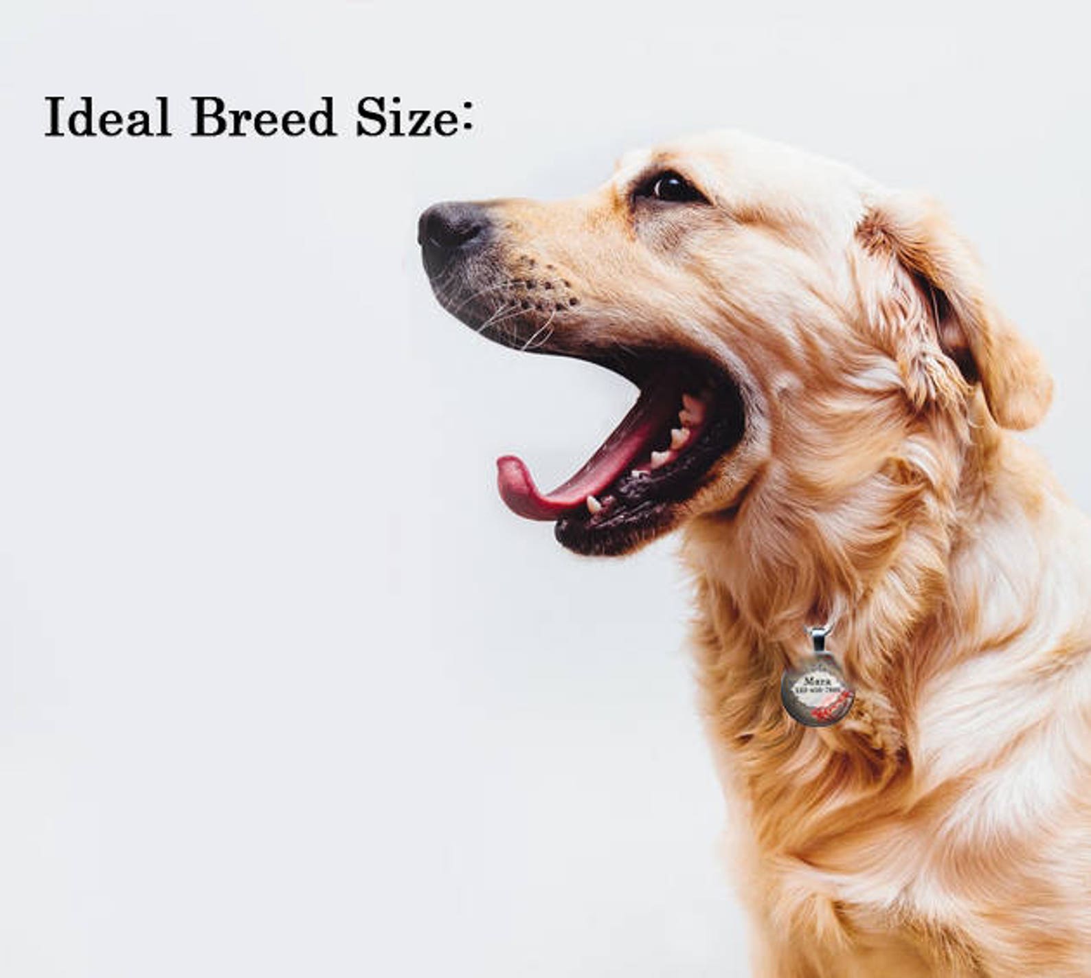 Red and Black Patterned Pet Id Tag Colorful Round Dog Tag 35mm - Etsy