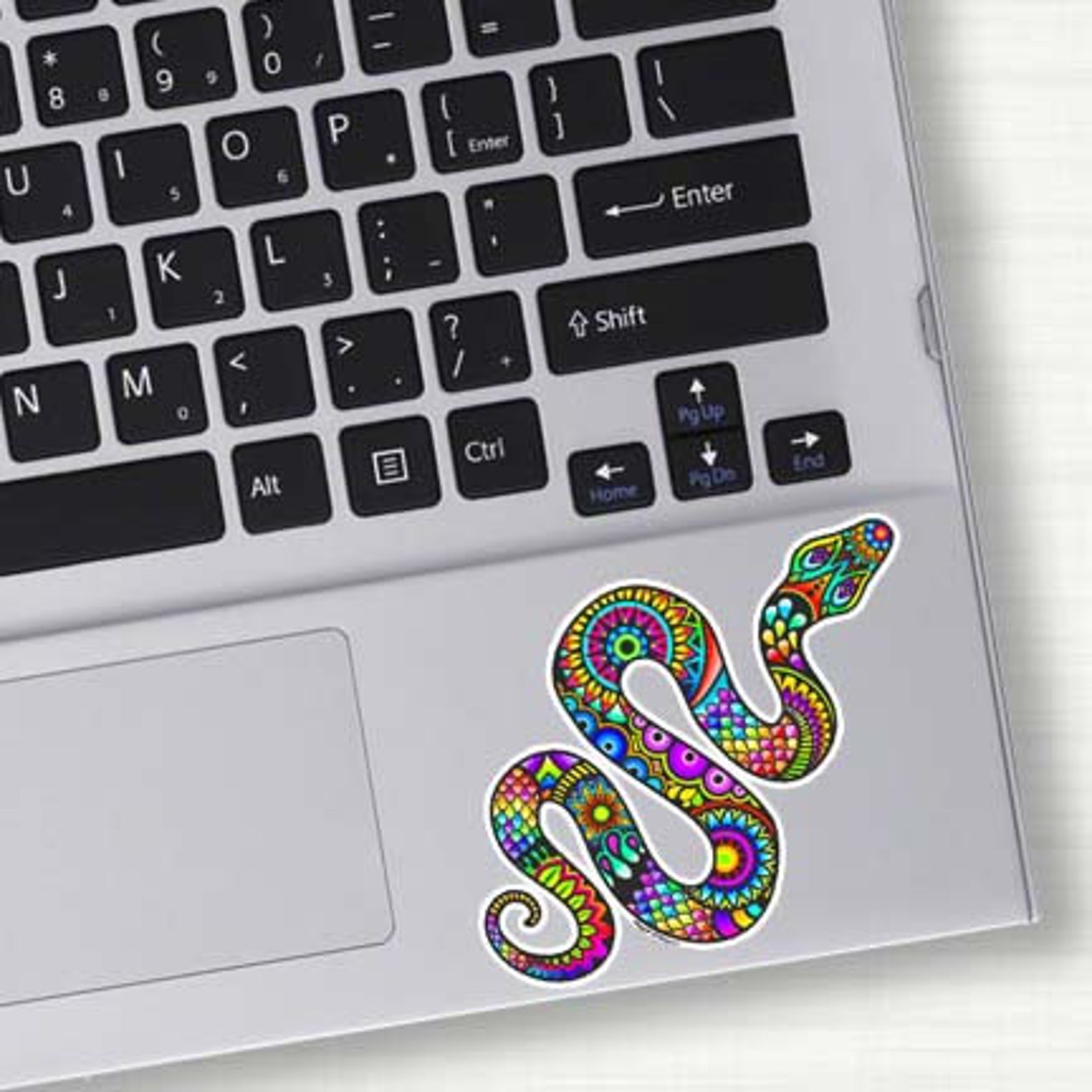 Snake Laptop Sticker - Colorful Bumper Sticker Reptile Laptop Decal ...