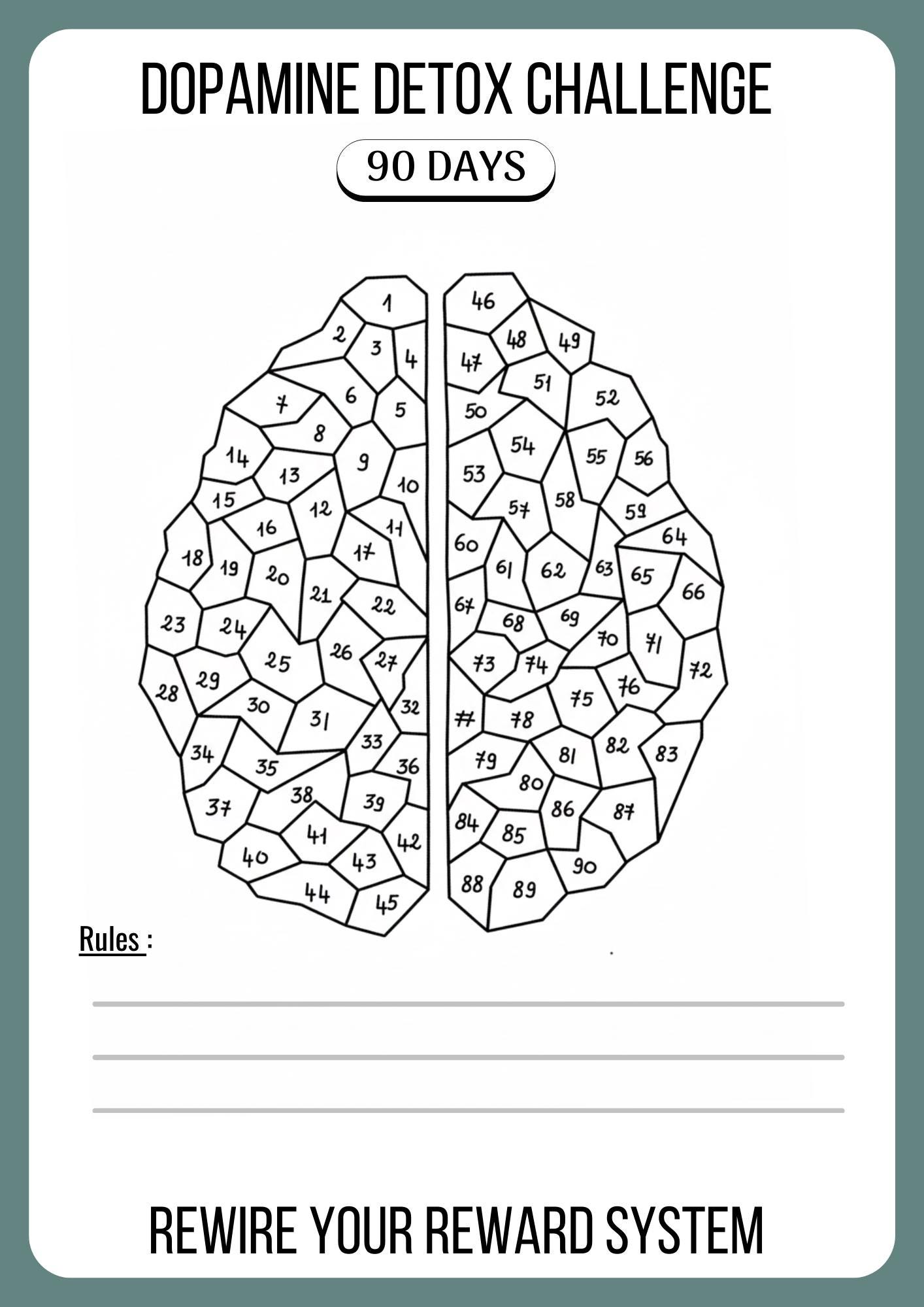 90 Day Dopamine Detox Challenge Tracker, Brain Maze Habit Rewire PDF ...