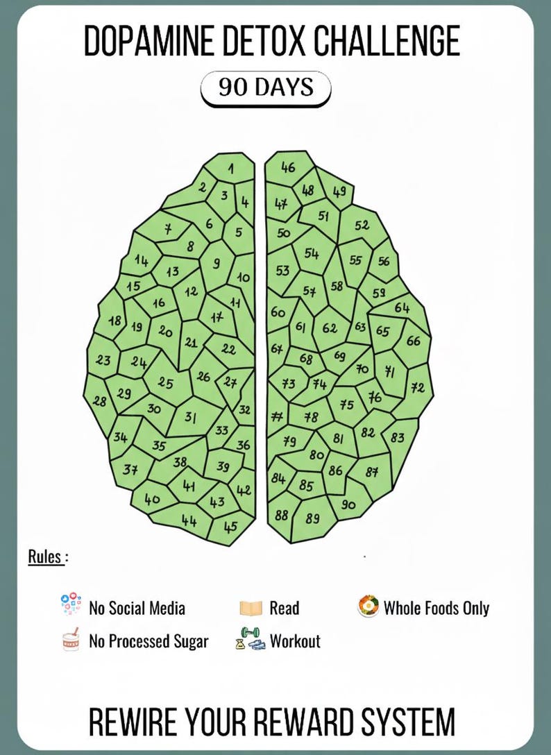 90 Day Dopamine Detox Challenge Tracker, Brain Maze Habit Rewire PDF ...