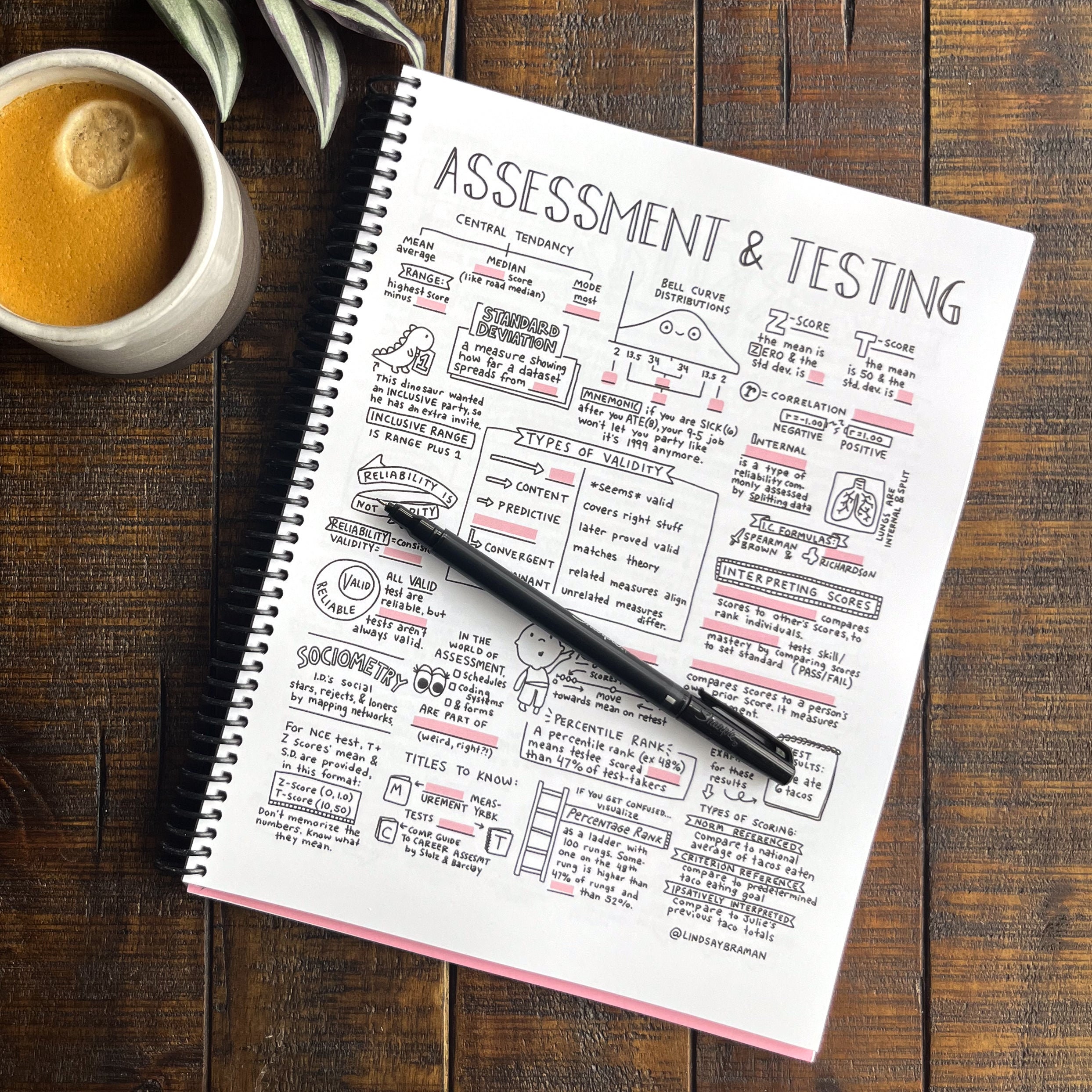 NCE Visual Study Guide & Activity Book: Test Prep for National ...