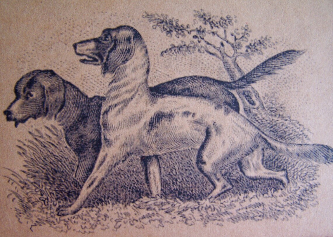 Old Vintage Hunting Dogs Scene Set of ANY 3 Note Cards - Etsy
