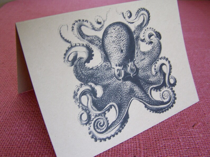 Octopus Set of ANY 3 Greeting Note Cards Invitation Recycled - Etsy