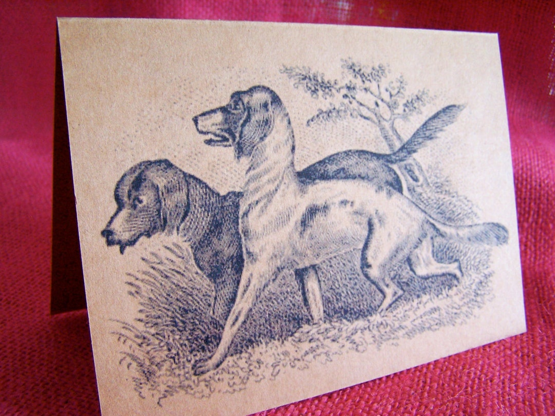 Old Vintage Hunting Dogs Scene Set of ANY 3 Note Cards - Etsy